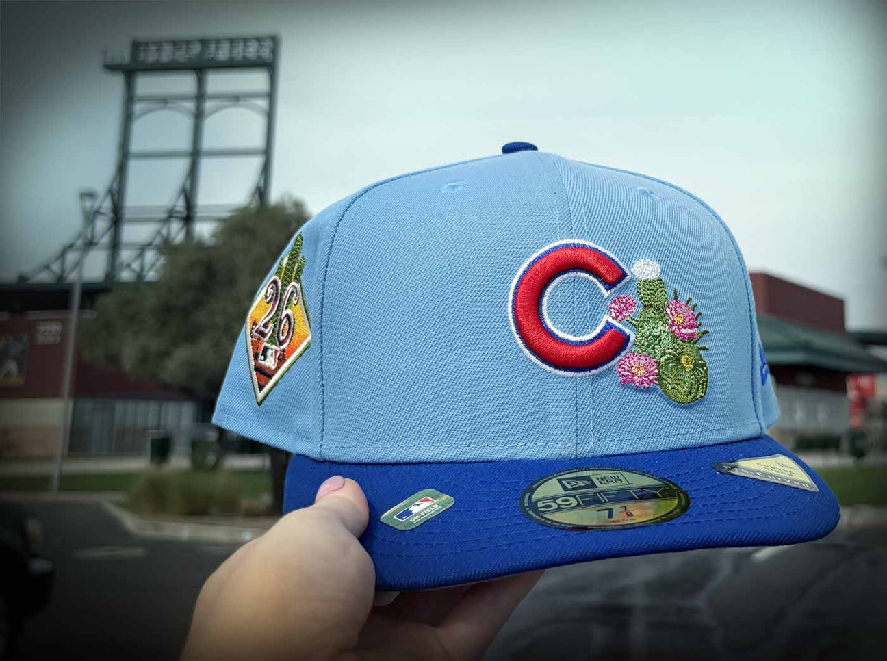 Chicago Cubs Spring Training Merchandise | Wrigleyville Sports