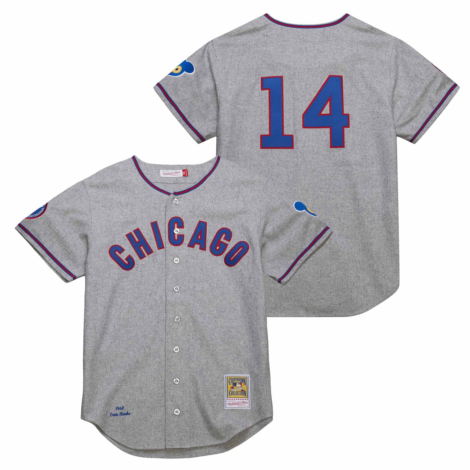 Chicago Cubs Ernie Banks 1968 Mitchell & Ness Authentic Road Jersey ...