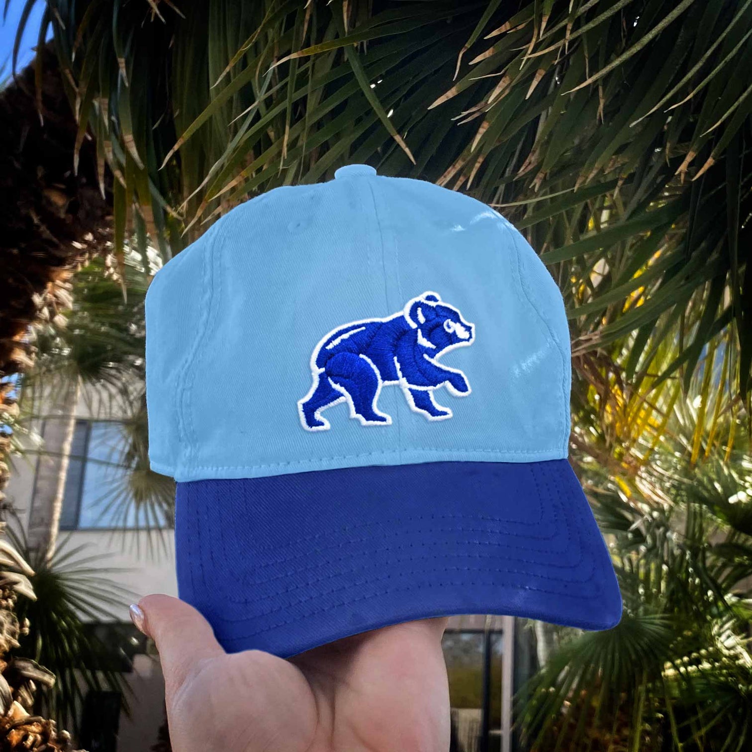 Chicago Cubs Merchandise | Wrigleyville Sports