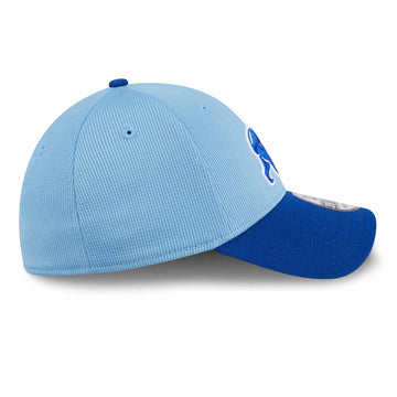 Chicago Cubs Youth 2024 Spring Training 39THIRTY Stretch Fitted Cap ...